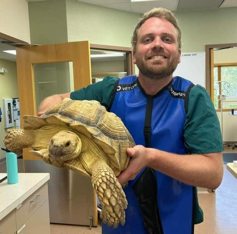 The Dr. Galen Walter Heyne, DVM Memorial Scholarship - Madison College ...